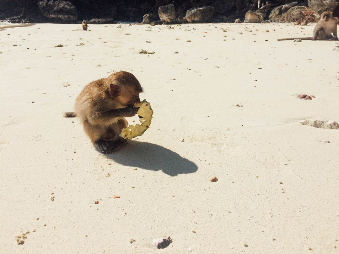 Island Hopping in Thailand - Hey There, Everywhere